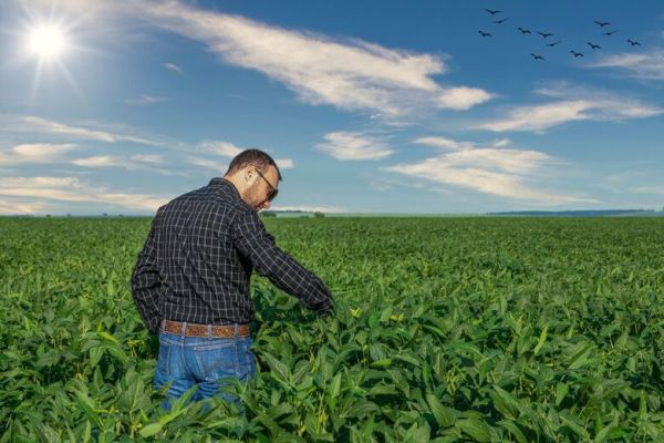 O DIA NA HISTÓRIA – Dia Mundial do Agrônomo | Expressão Rondônia